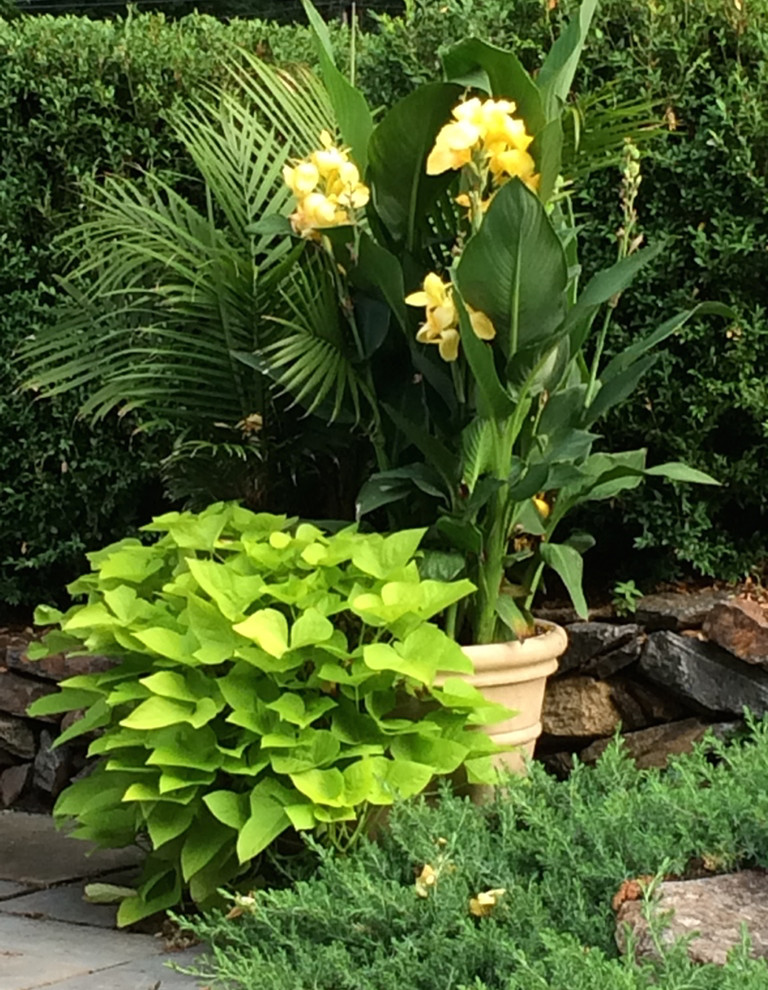 Outdoor Container Plantings & Finishes - Di transizione - Facciata ...