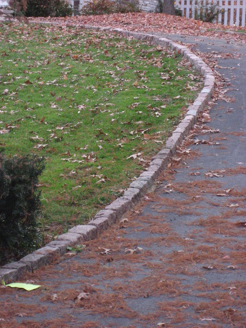 Outdoor Landscaping & Patio Ideas - Traditional - Landscape - St Louis ...