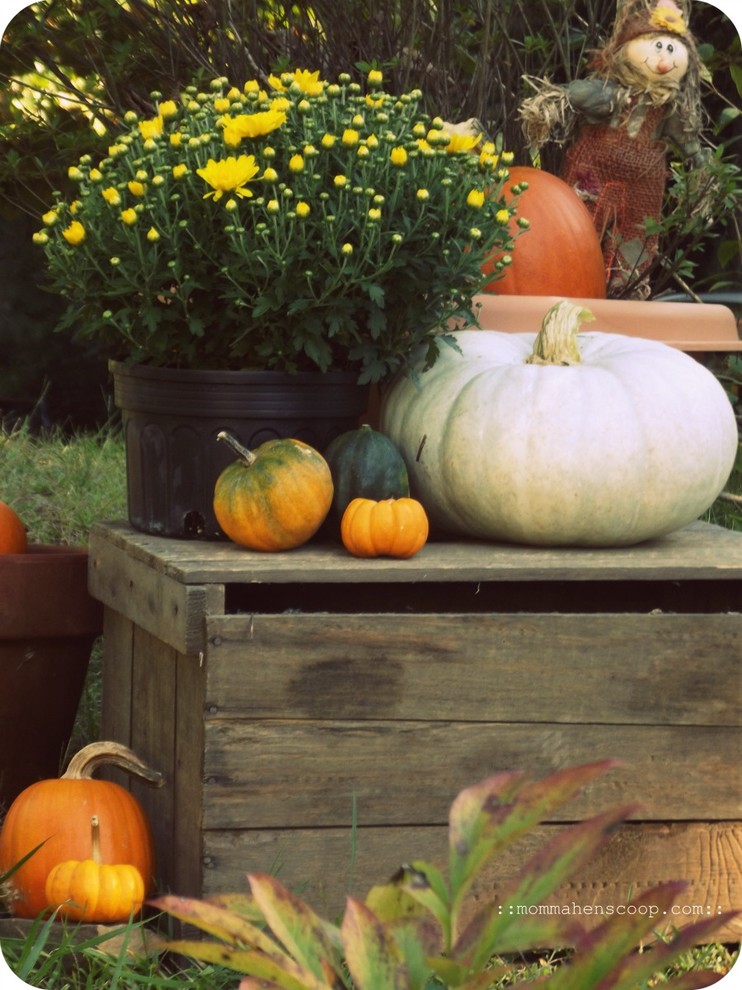 Outdoor vignettes - Eclectic - Exterior - Louisville | Houzz