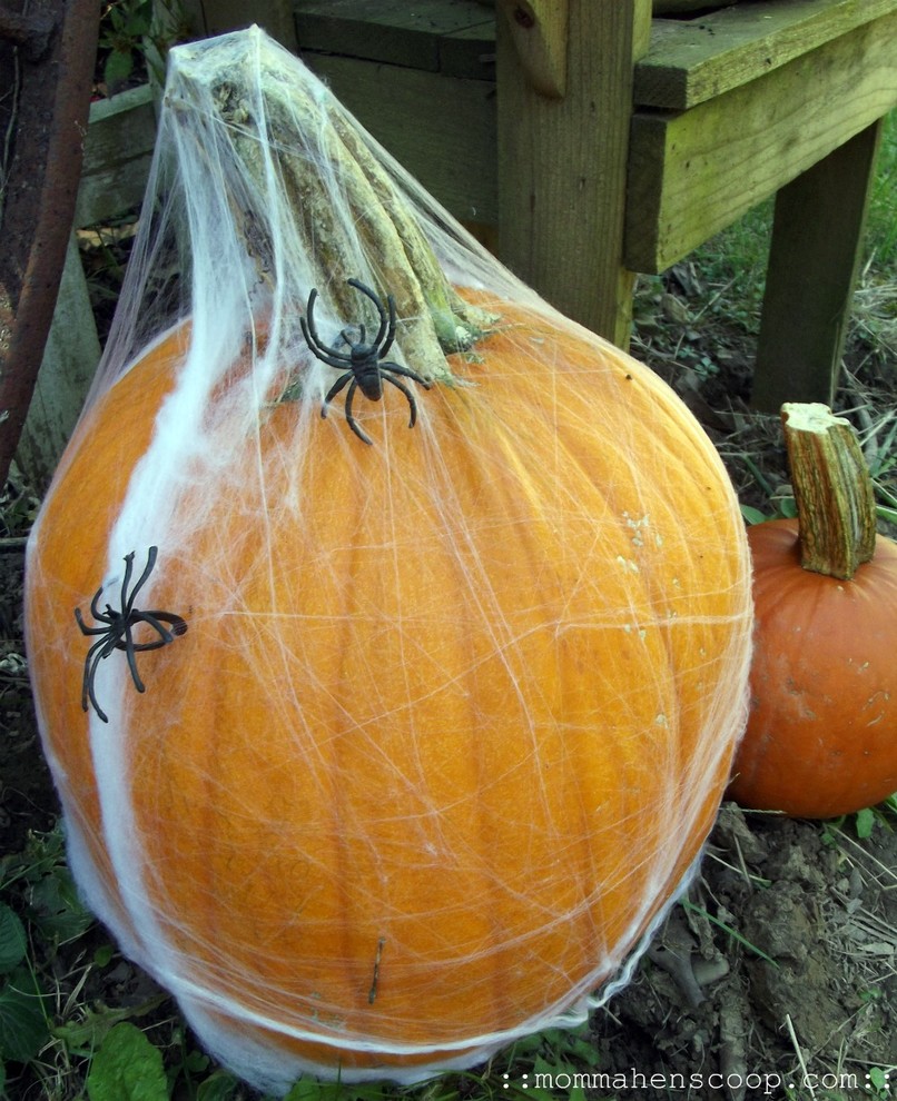 Outdoor vignettes - Eclectic - Exterior - Louisville | Houzz