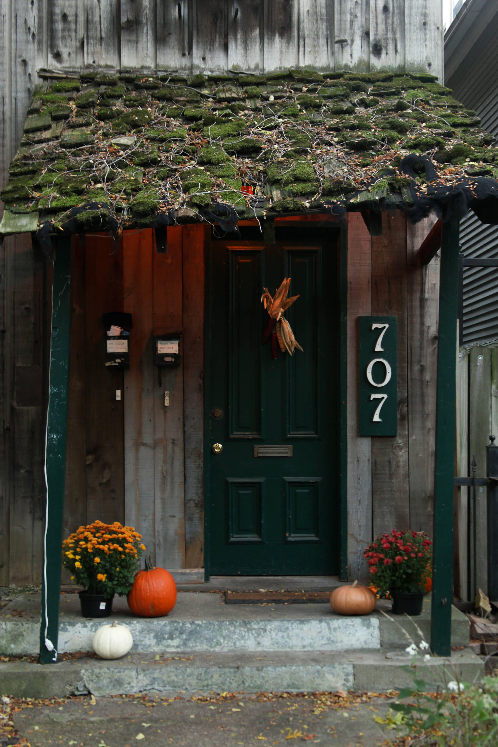 Photo Tour: Chicago Neighborhoods Dress Up for Fall