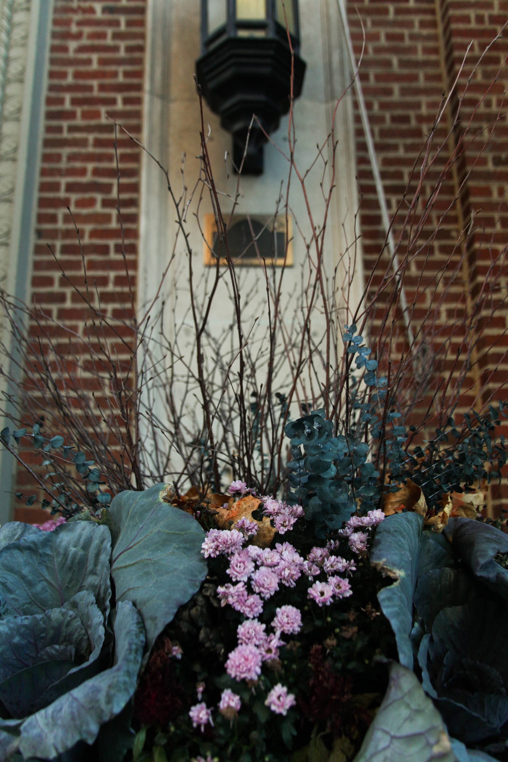 Photo Tour: Chicago Neighborhoods Dress Up for Fall