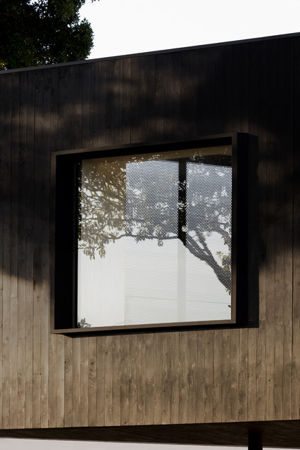 Platform House - Modern - Exterior - Sydney - by studioplusthree | Houzz AU