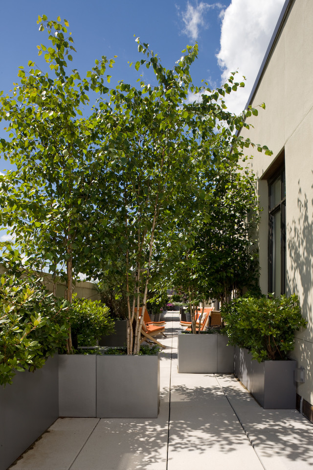 Private Terrace UWS - Contemporary - Exterior - New York - by Evan C ...