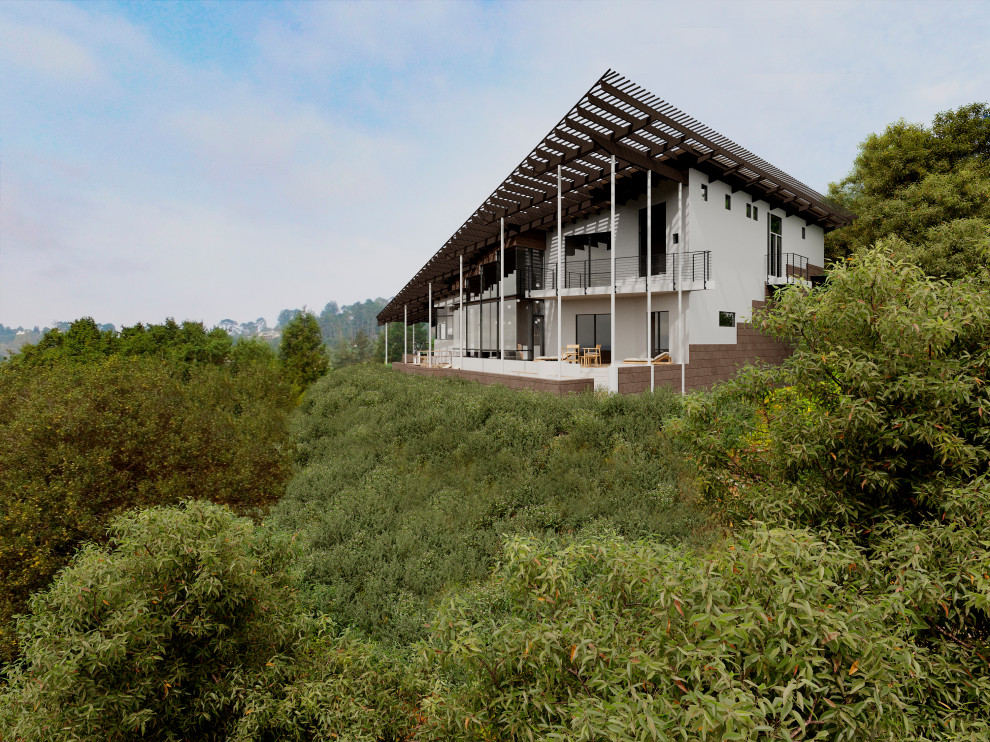 Ridgback House - Contemporary - Exterior - San Francisco - by Robert ...