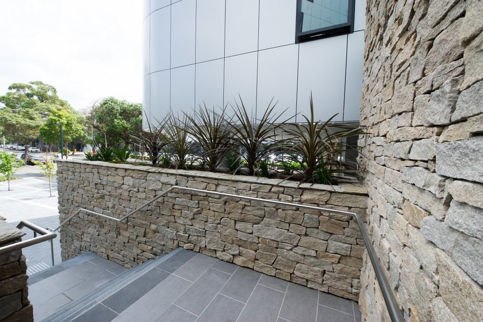 Rushcutters Bay - Stone Wall Cladding - Modern - Exterior - Sydney - by ...