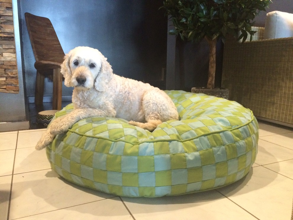 Seaforth Showroom - modelled by Oliver George Womble - Osier Belle Dog ...