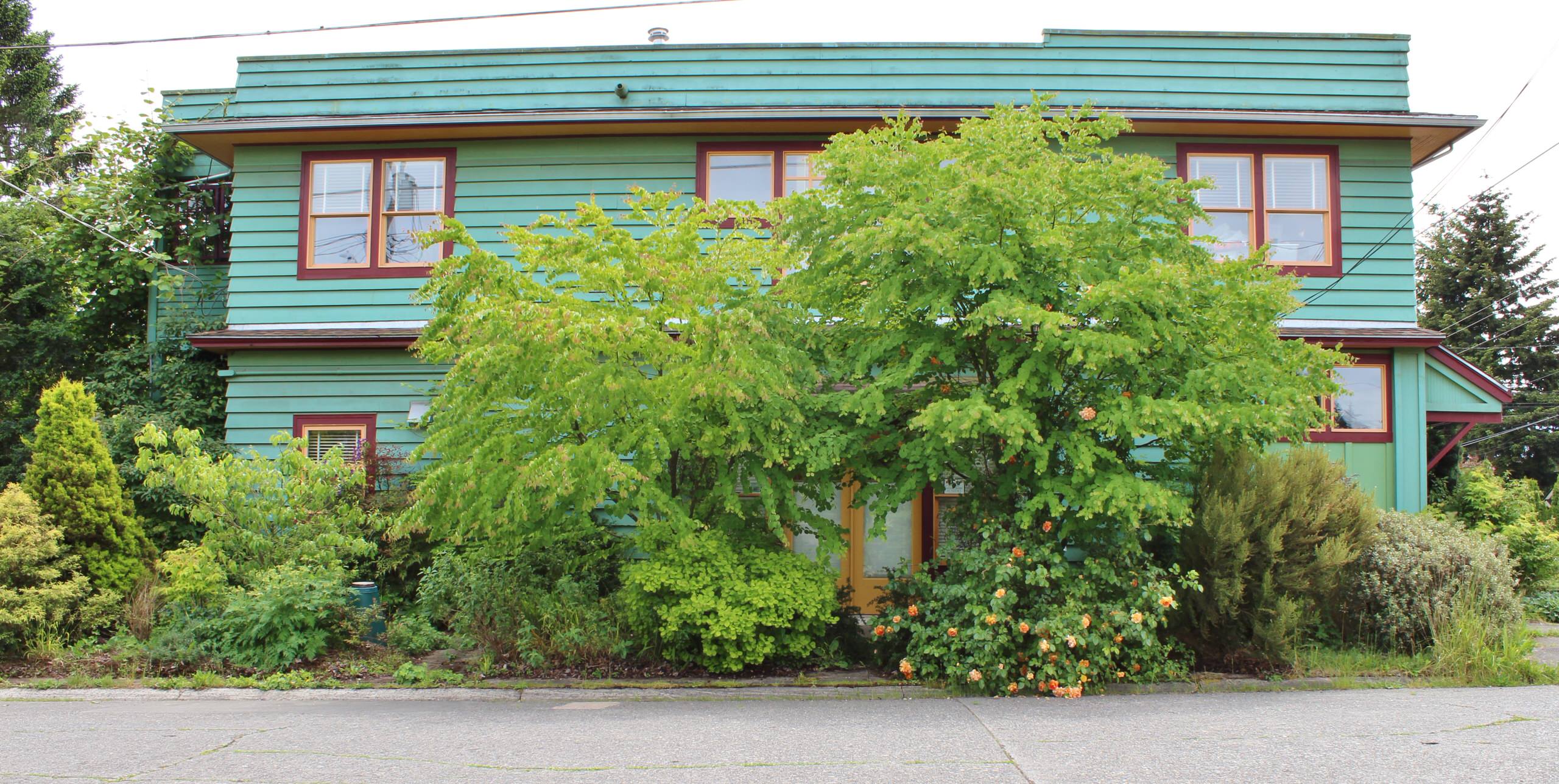 From Concrete Lot to Gracious Organic Garden in Seattle