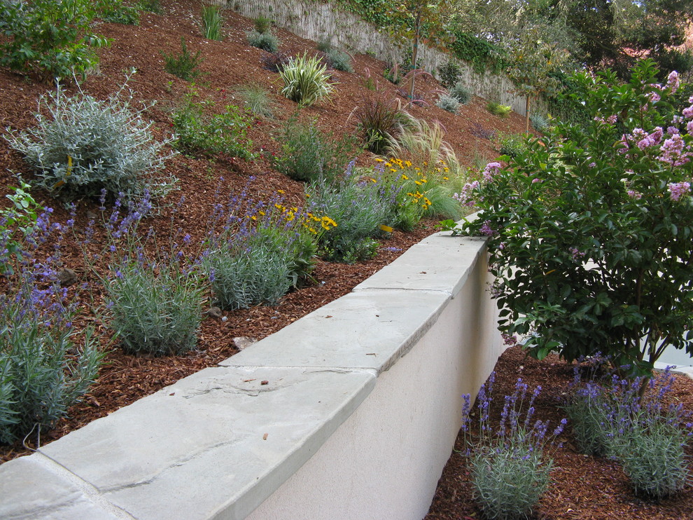 Stucco Wall with Stone Cap - Rustic - Exterior - San Francisco - by SW ...