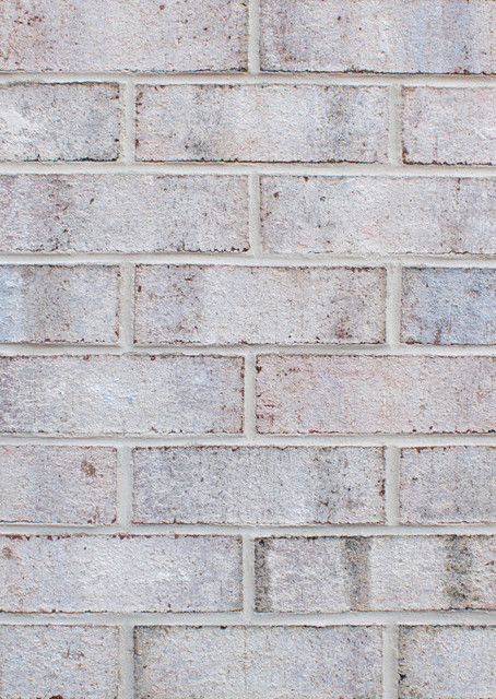 Triangle Brick's Biscayne Bay - Moderne - Façade - Raleigh - par ...