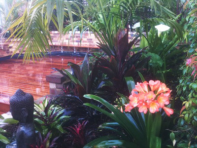 Tropical garden design sydney - Tropical - Exterior - Sydney - by ...