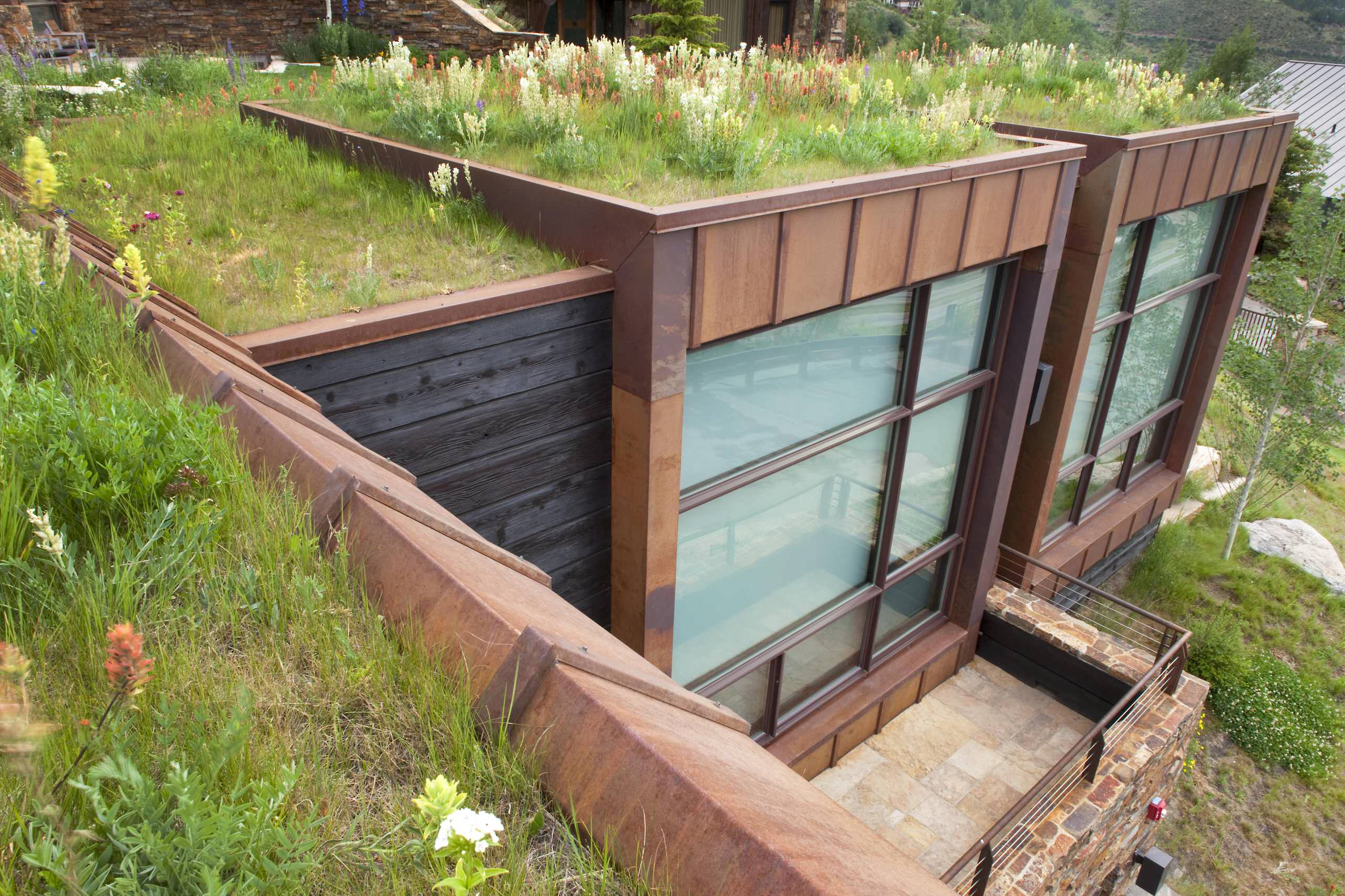 Quels sont les avantages d'une toiture végétalisée