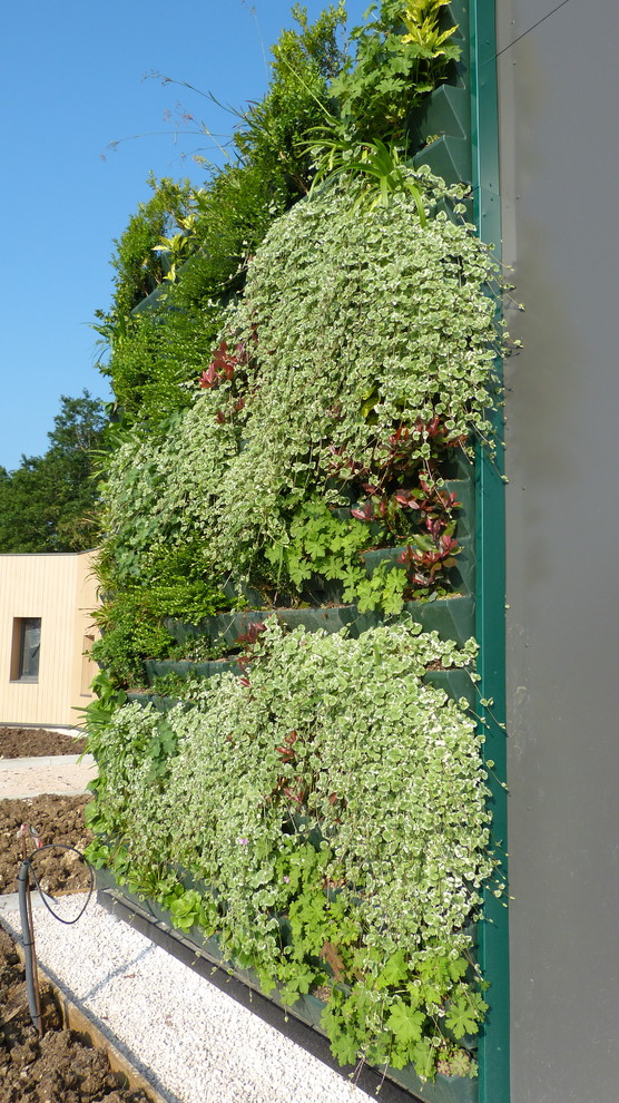Façade végétalisée / Mur végétal extérieur VERTICAL FLORE ...