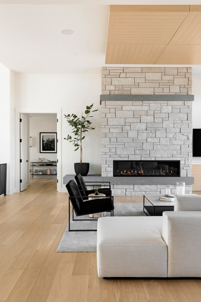 2020 Modern Prairie Rambler - Contemporary - Family Room - Minneapolis ...