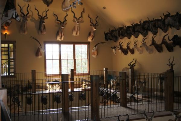 Bland Trophy Room addition and remodeling project - Eclectic - Family ...