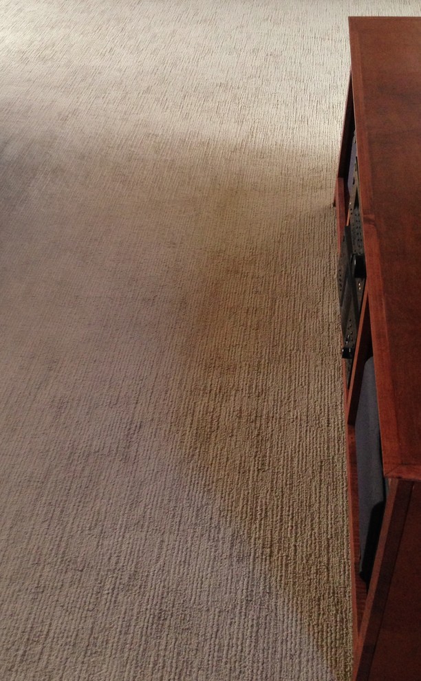 Carpet - Traditional - Family Room - Denver - by Inside Story Carpet ...
