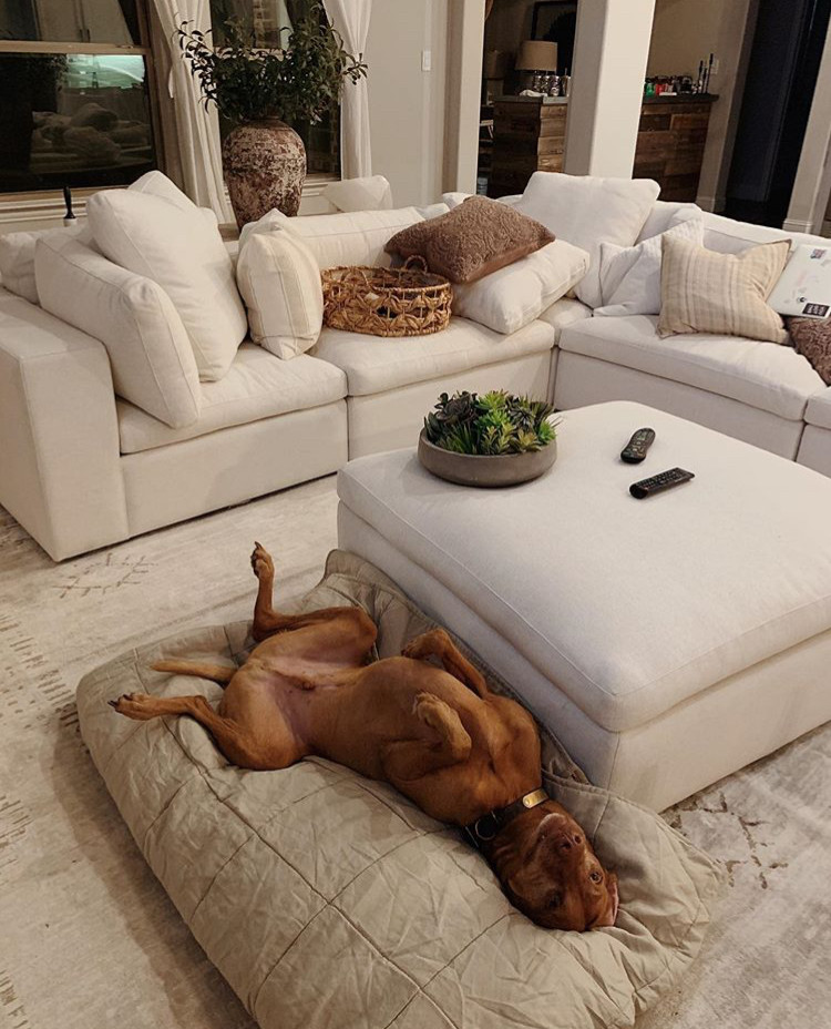 CLAUDIA - CUSTOM SOFA AND CUSTOM SECTIONAL - Salotto - Los Angeles - di ...