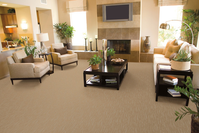 Designing with Soft Surfaces - Traditional - Family Room - by Brunswick ...