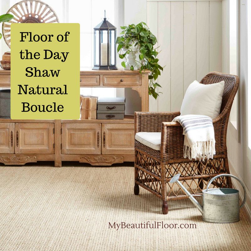 Floor of the Day - Shaw Natural Boucle Carpet - Family Room - New York ...