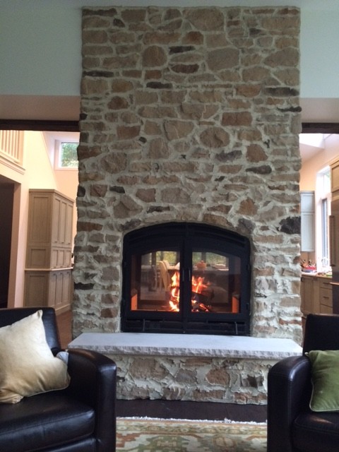 Hearthroom 44 See-Through Fireplace - Traditional - Family Room ...