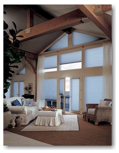 Hunter Douglas honeycomb shades for angled windows - Transitional ...