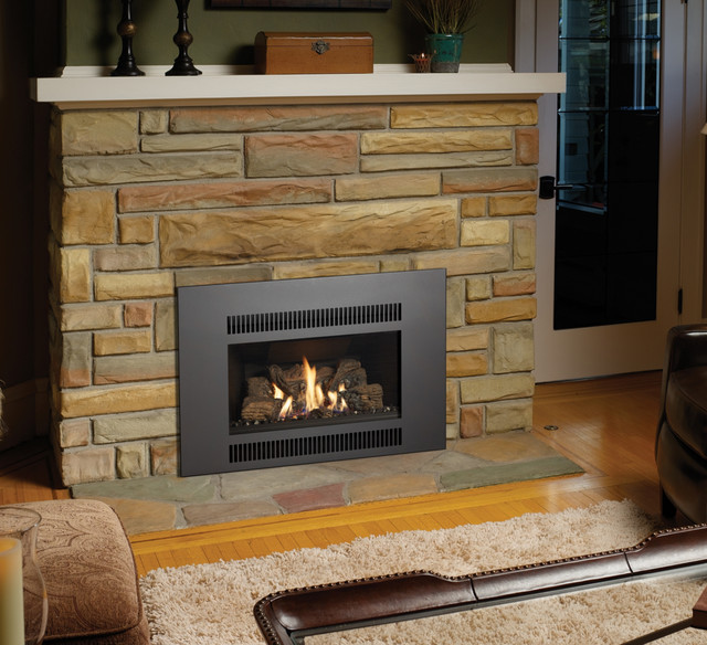 Radiant Plus Medium Gas Insert - Rustic - Family Room - Seattle - by ...