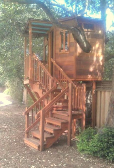 SF Bay Redwood Temple Treehouse - Rustic - Family Room - San Francisco ...