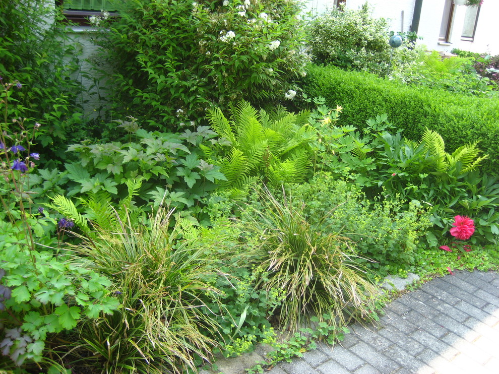 Klassisches Staudenbeet - Traditional - Landscape - Munich - by Grünes ...
