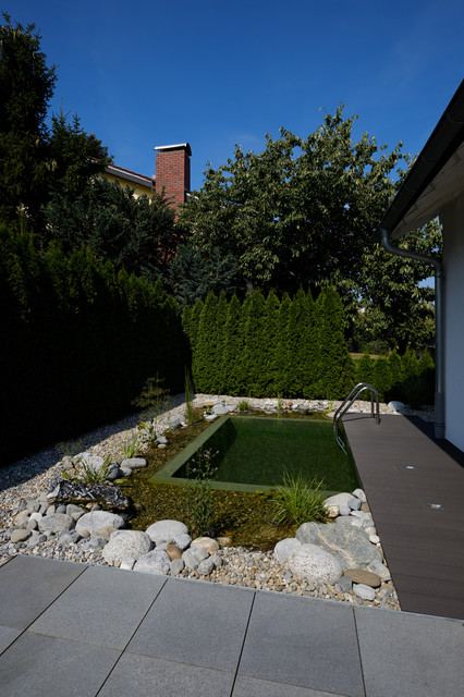Kleiner Schwimmteich als persönliche Oase - Modern - Garten - Stuttgart - von Albrecht Bühler ...