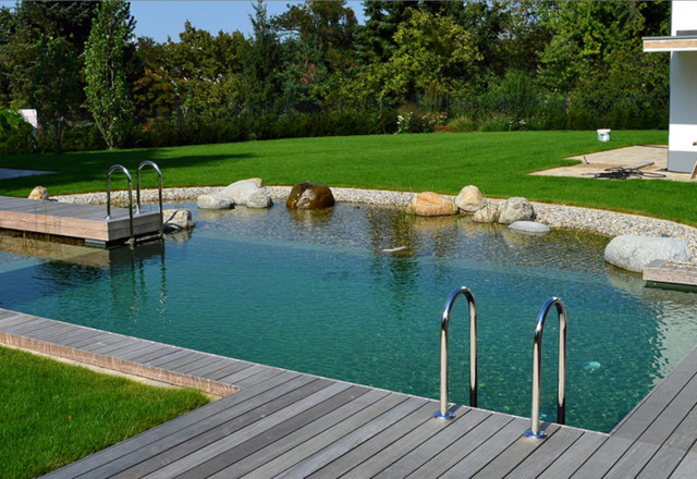 Schwimmteich bei Stuttgart - Modern - Garten - Stuttgart - von Biegert - Der Landschaftsgärtner ...