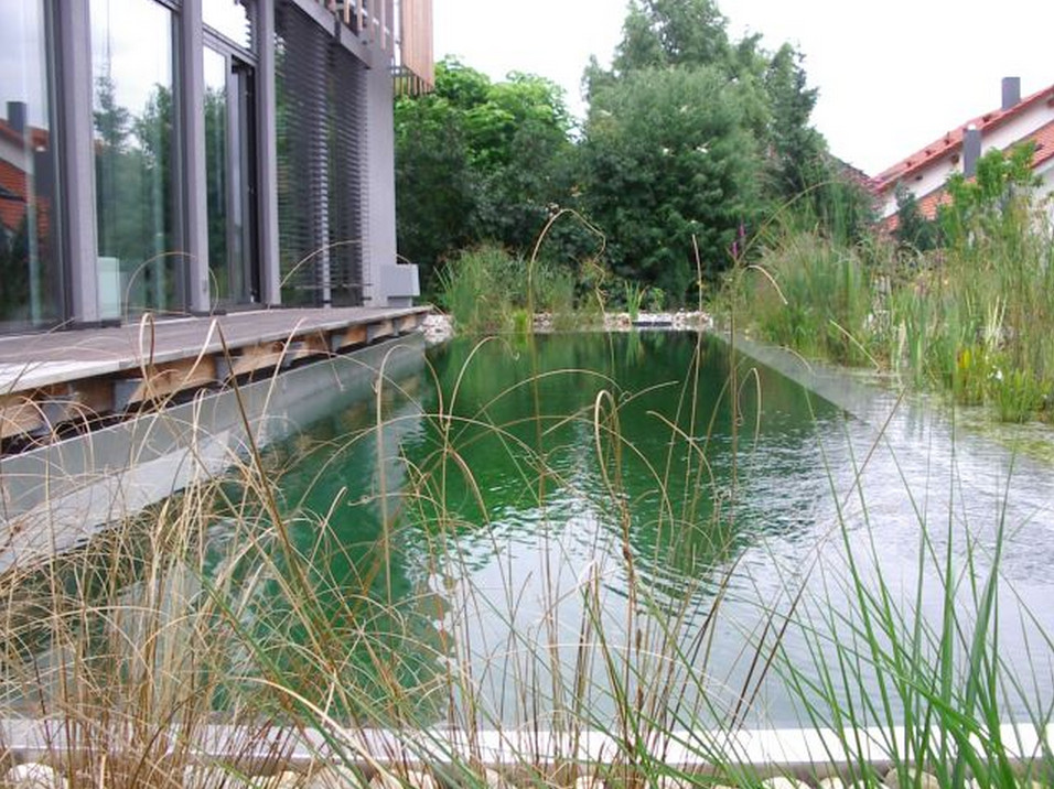 Schwimmteich und Garten - Contemporary - Landscape - Stuttgart - by Rigon & Littmann | Houzz