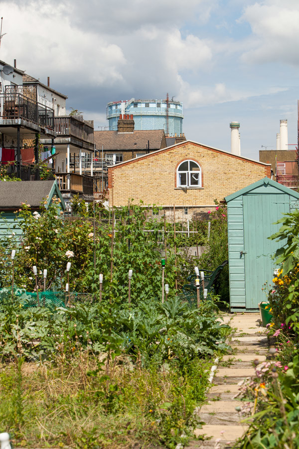 Conservation area studio - Traditional - Shed - London - by One-World ...