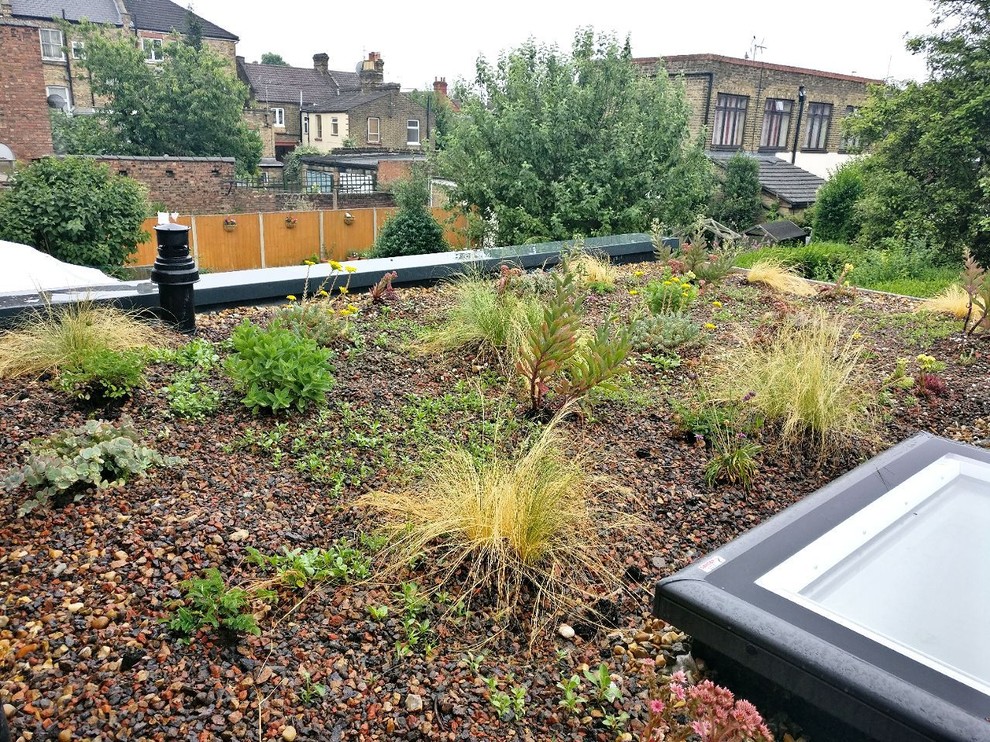 Urban green roof - Contemporary - Landscape - London - by Ecoalex Ltd ...