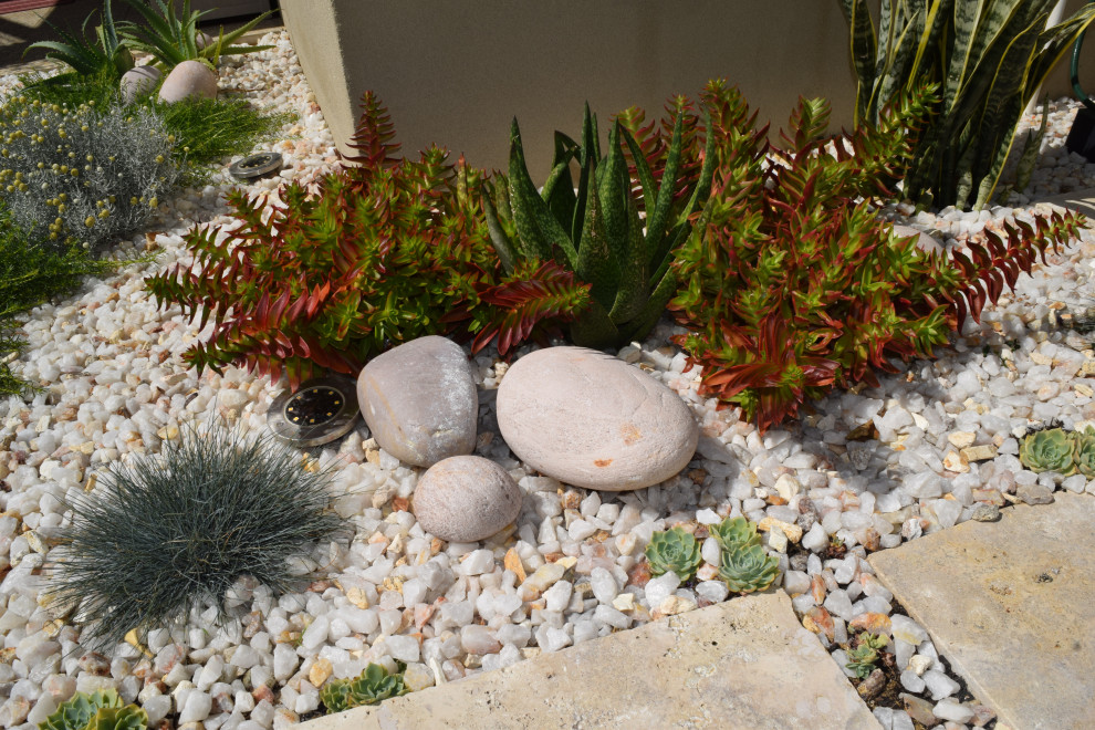 A COASTAL GARDEN SANCTUARY - Beach Style - Landscape - Perth - by ...