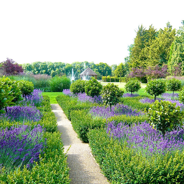 Large Formal Garden Design Jade Garden Design | Stylish Space For
