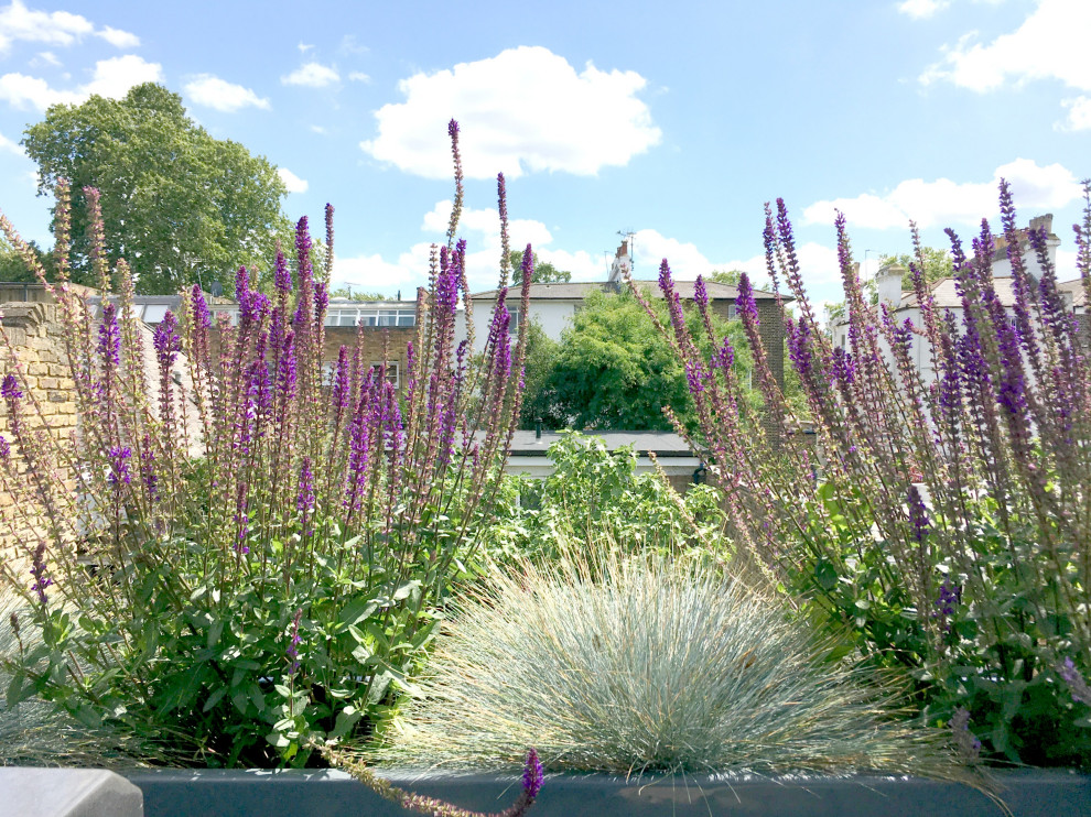 A Restful Roof Terrace - NW1 - Contemporary - Landscape - London - by ...