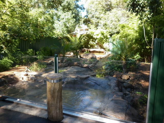 Adelaide Zoo - Tropical - Garden - Brisbane - by Metal Rock Pools ...