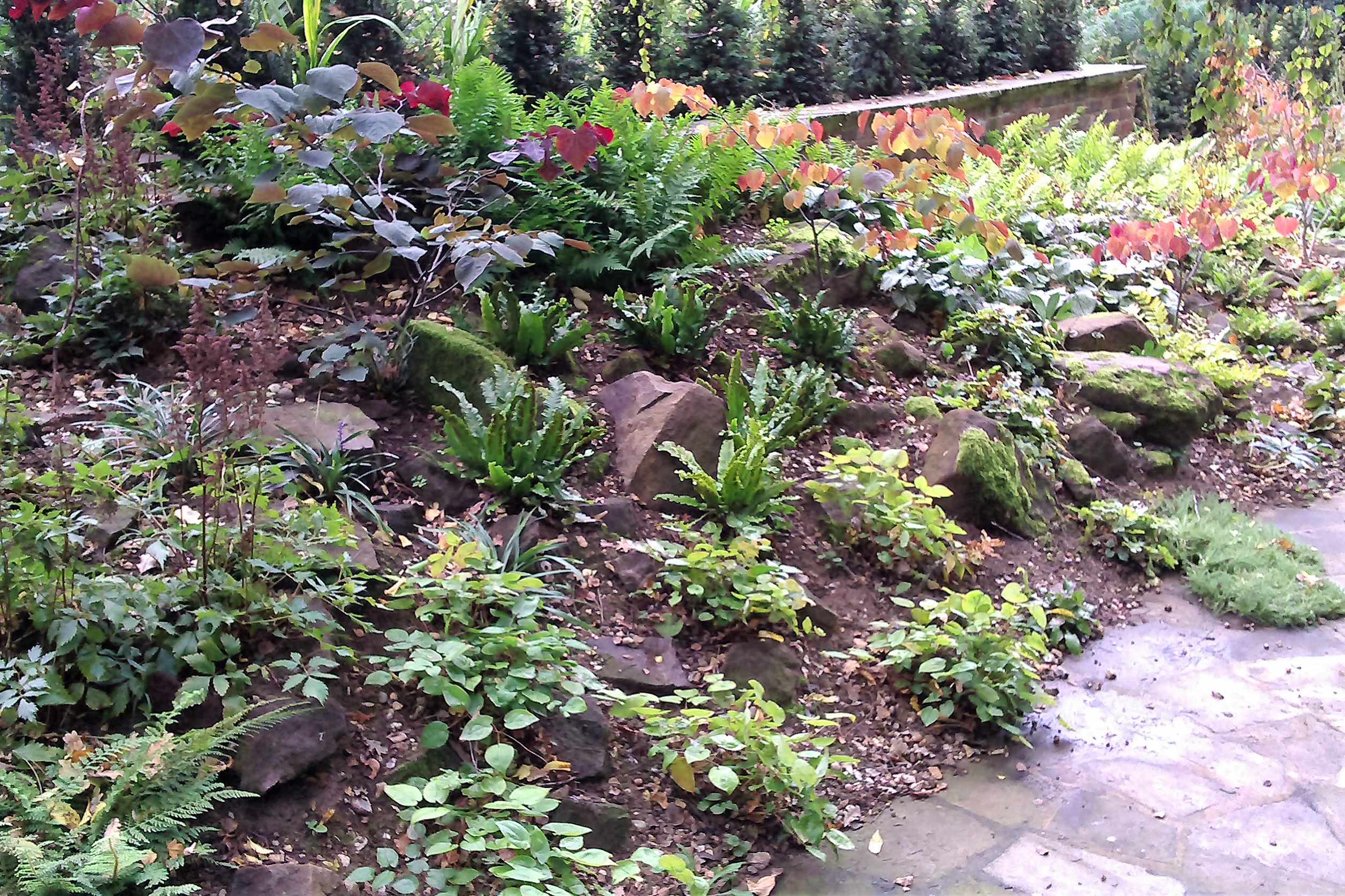 16 Ideas for Rockeries From UK and US Gardens | Houzz NZ