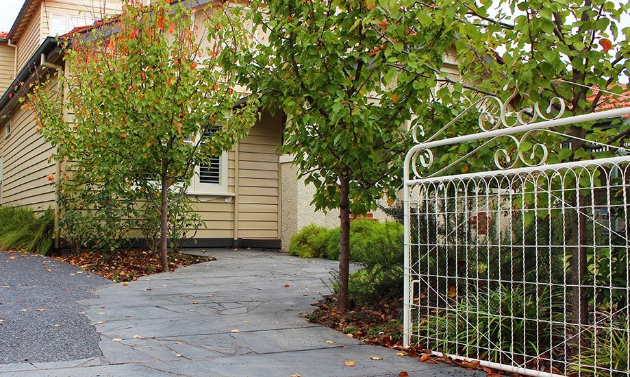 Ascot Vale - Contemporary - Landscape - Melbourne - by Normark ...