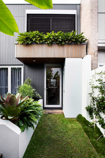 Balmain - Inner city garden - Tropical - Garden - Sydney - by sticks ...
