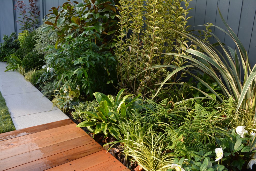 Barnes Garden - Contemporary - Garden - London - by Tom Howard Garden ...