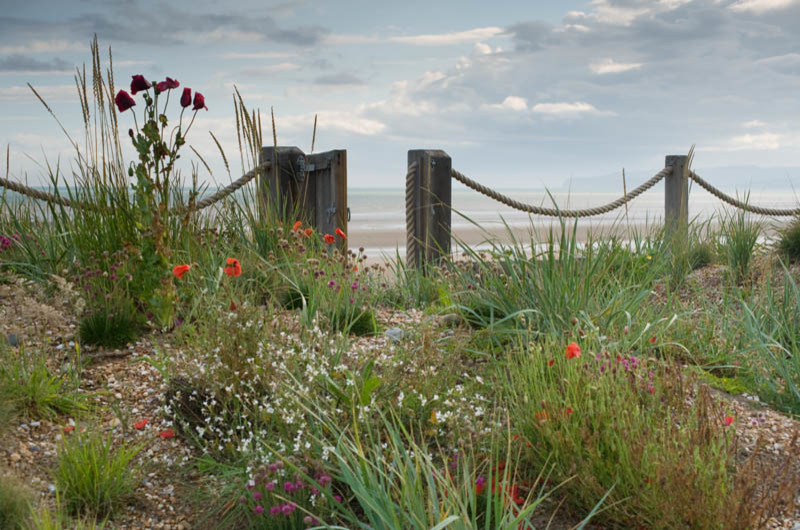 Beach garden, Sussex - Beach Style - Landscape - Sussex - by Jo ...