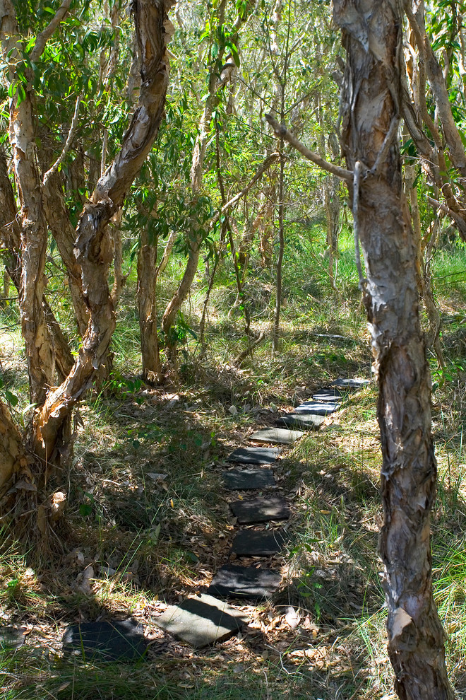 Beachfront Home Mount Coolum - Modern - Landscape - Sunshine Coast - by ...