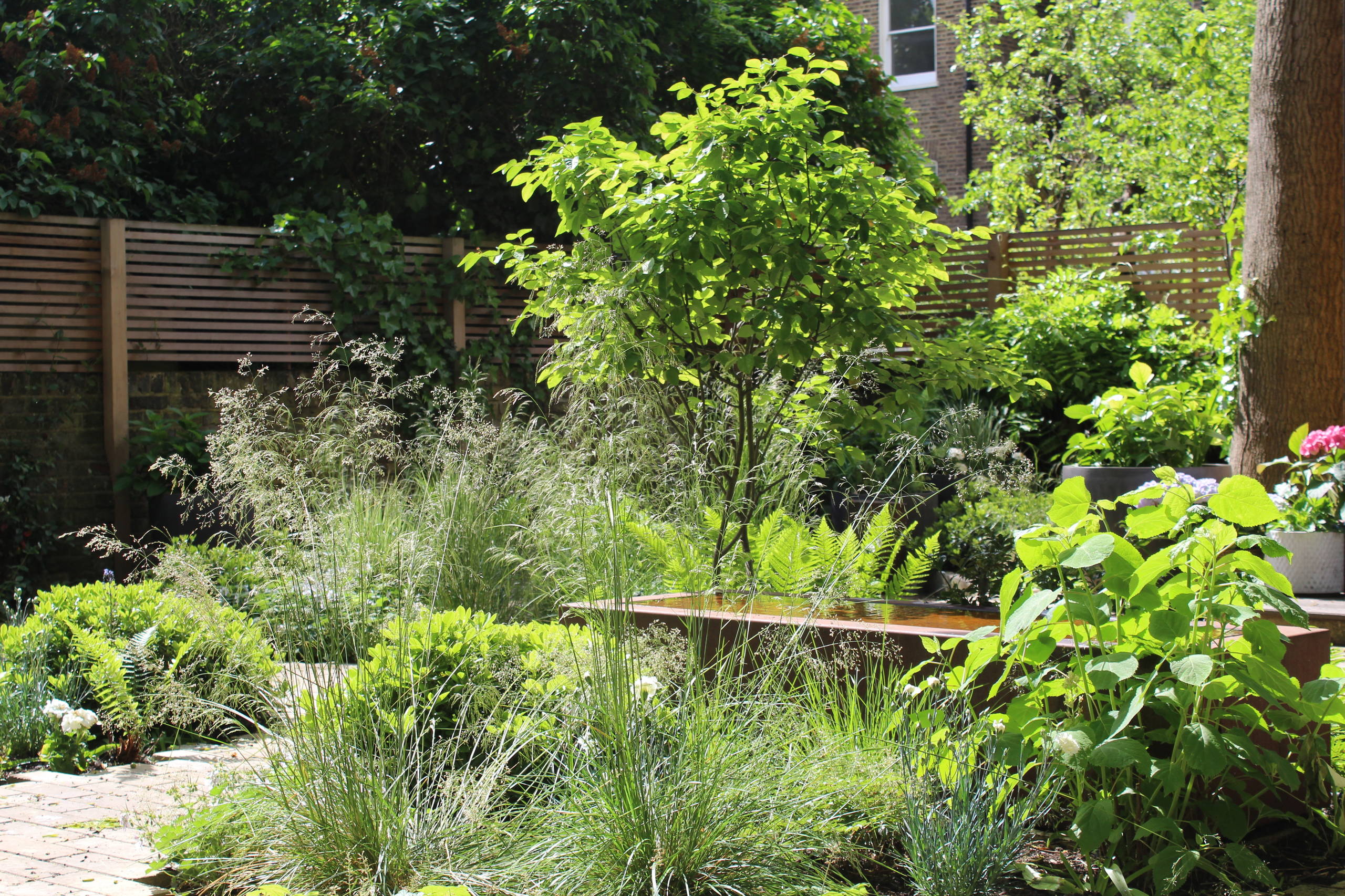 19 Gardens Where Grasses Are Key | Houzz IE