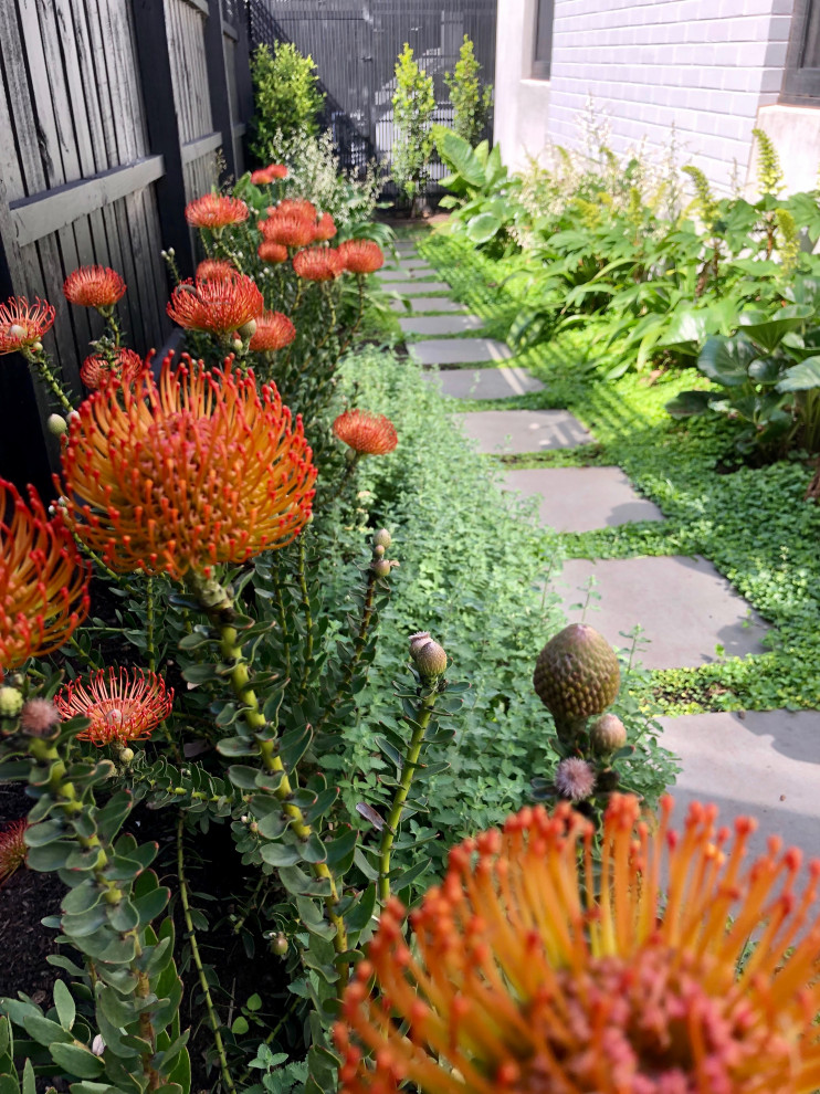 Black Rock Residence - Landscape - Melbourne - by Waddell Landscape ...