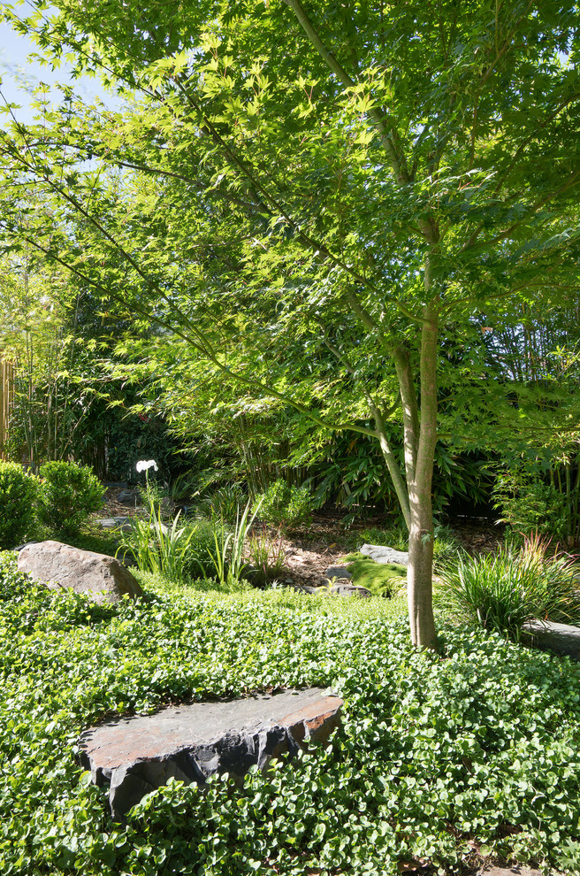 Blackburn - - Landscape - Other - by Ben Harris Gardens | Houzz