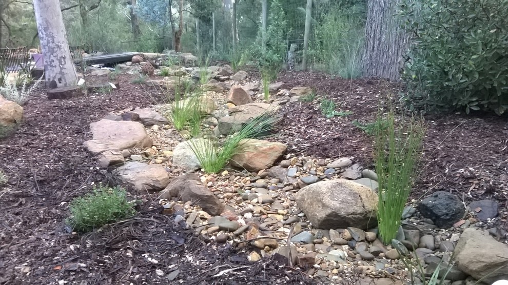Blackburn Billabong - Rustic - Landscape - Other - by Ben Harris ...
