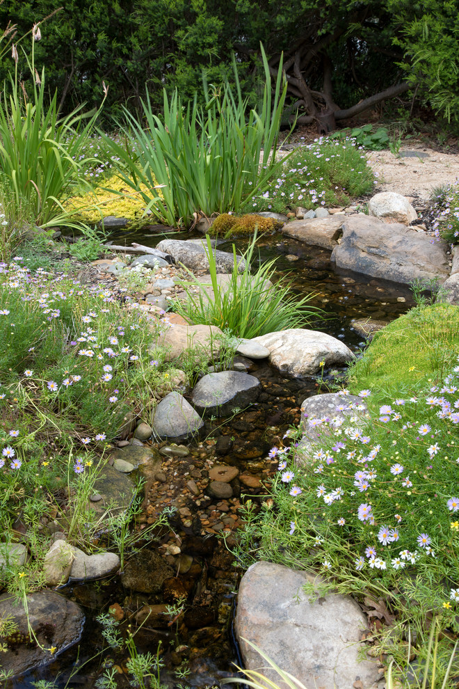 Blackburn cottage garden with stream - Eclectic - Landscape - Other ...