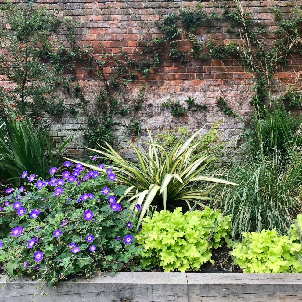 Blackheath - Contemporary - Landscape - London - by Emma Whitten Garden ...