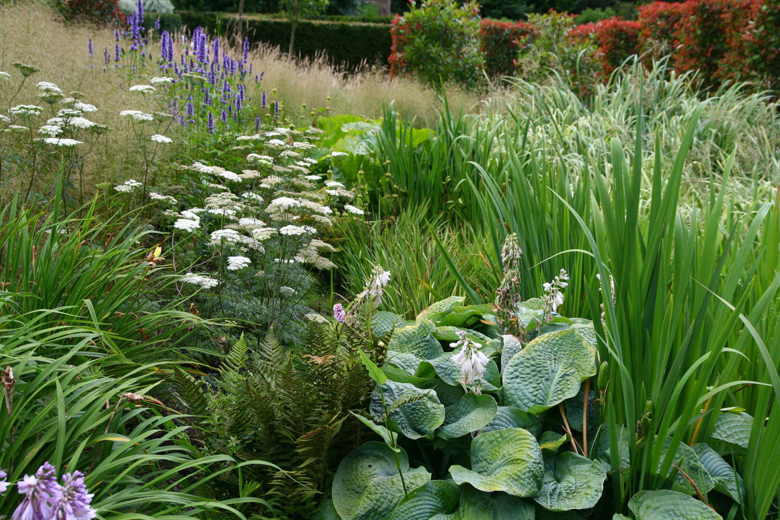 Bog Garden Design Uk | Fasci Garden